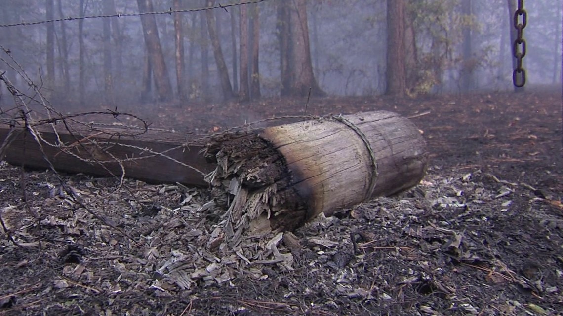 Jasper County fire 95% contained, has burned 3,500 acres | 12newsnow.com