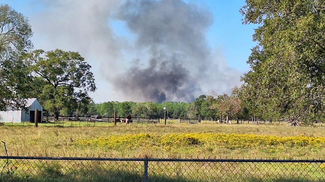 90-acre wildfire in Jasper County 95% contained | 12newsnow.com