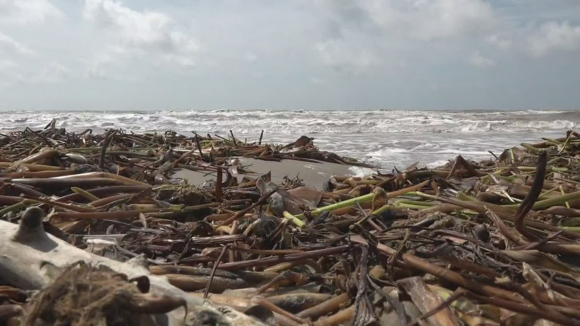 Restoration underway for Gulf Coast marsh at McFaddin Beach | 12newsnow.com