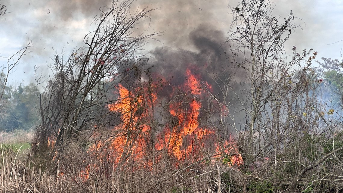 West Orange Fire Department monitoring marsh fire | 12newsnow.com