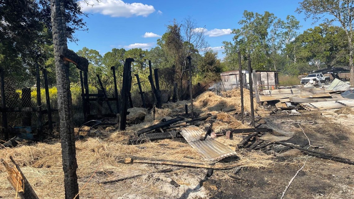 Barn fire leaves 7 horses dead in Beaumont's south end | 12newsnow.com