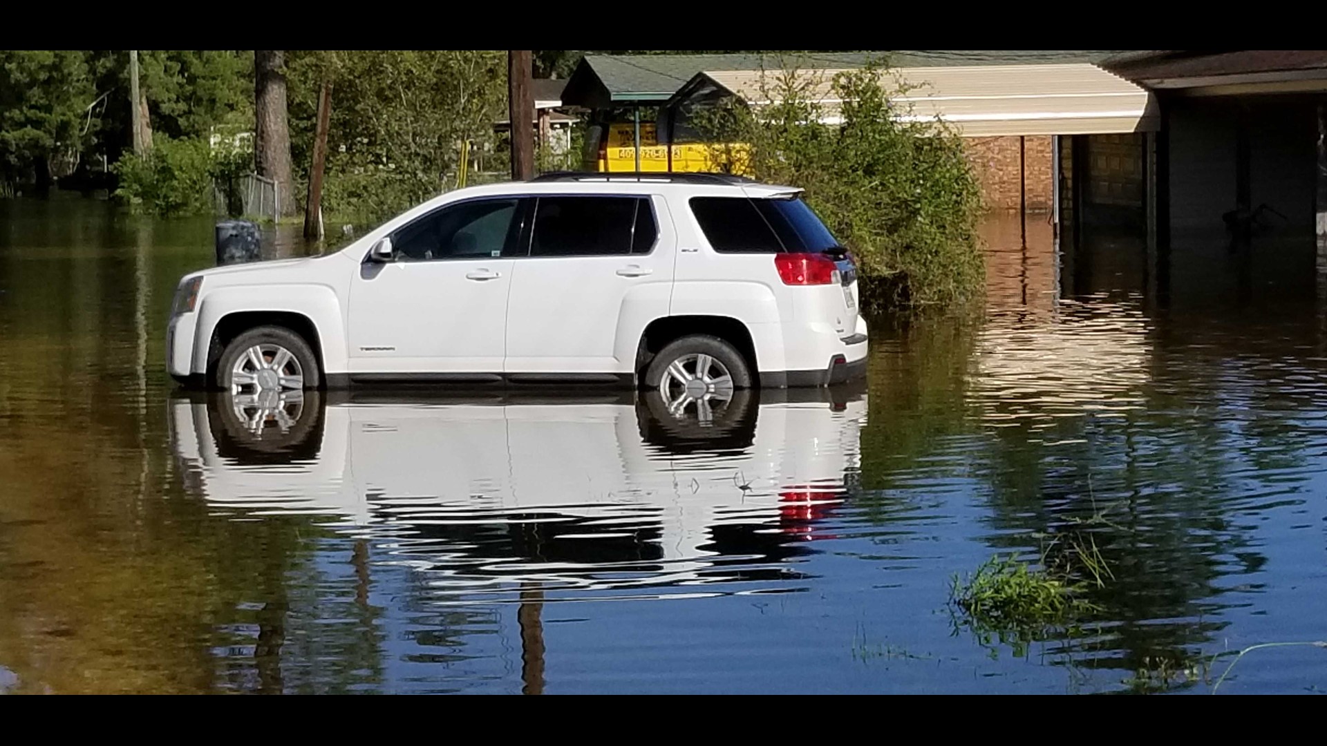 Rogue gators, tetanus outbreak spark Imelda social media rumors ...